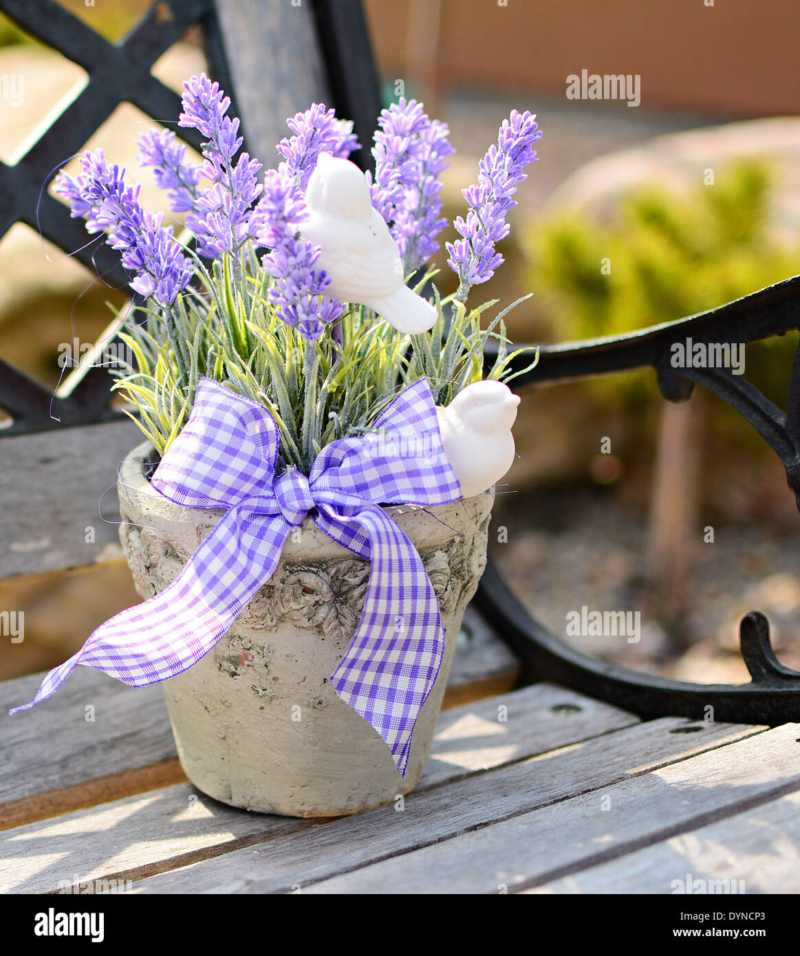 Lavender plant pot hi-res stock photography and images - Alamy