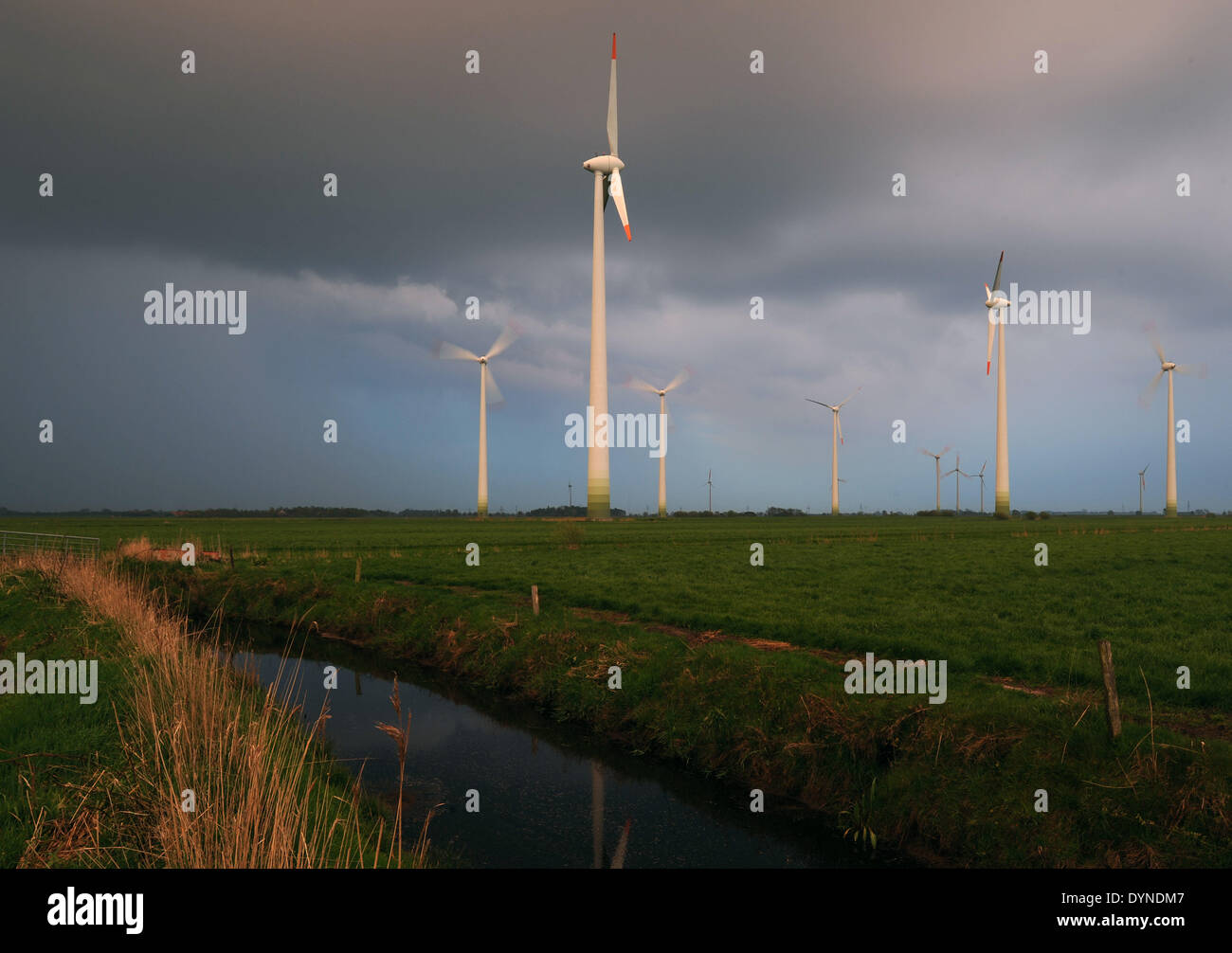 Riepe High Resolution Stock Photography and Images - Alamy