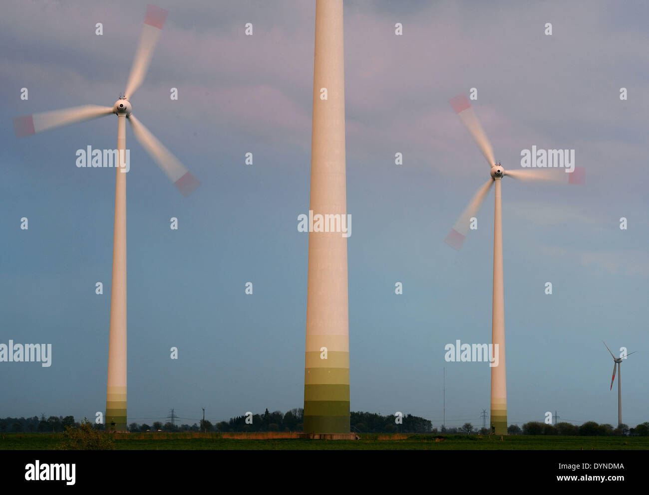 Riepe High Resolution Stock Photography and Images - Alamy