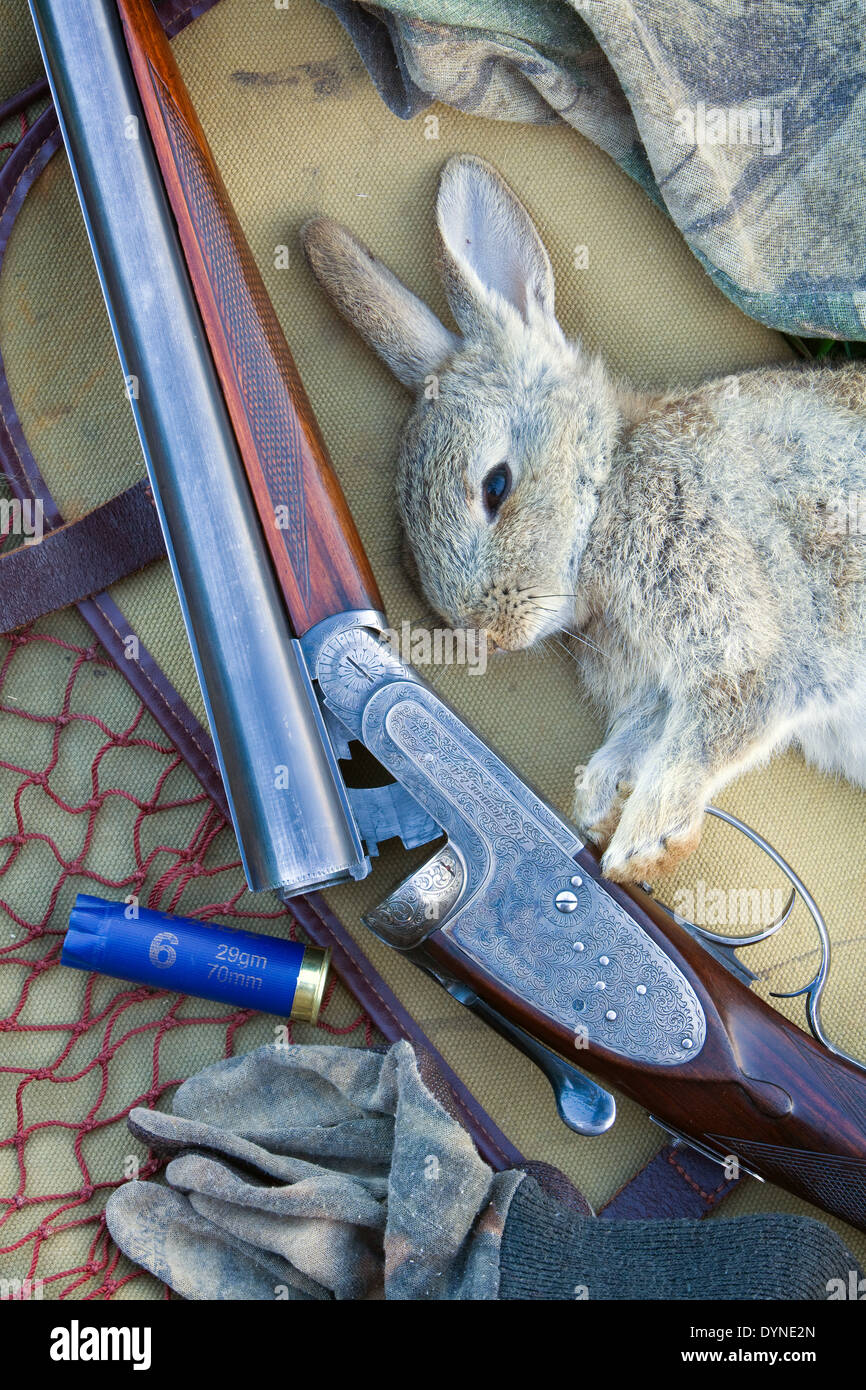 Rabbit shooting hi-res stock photography and images - Alamy
