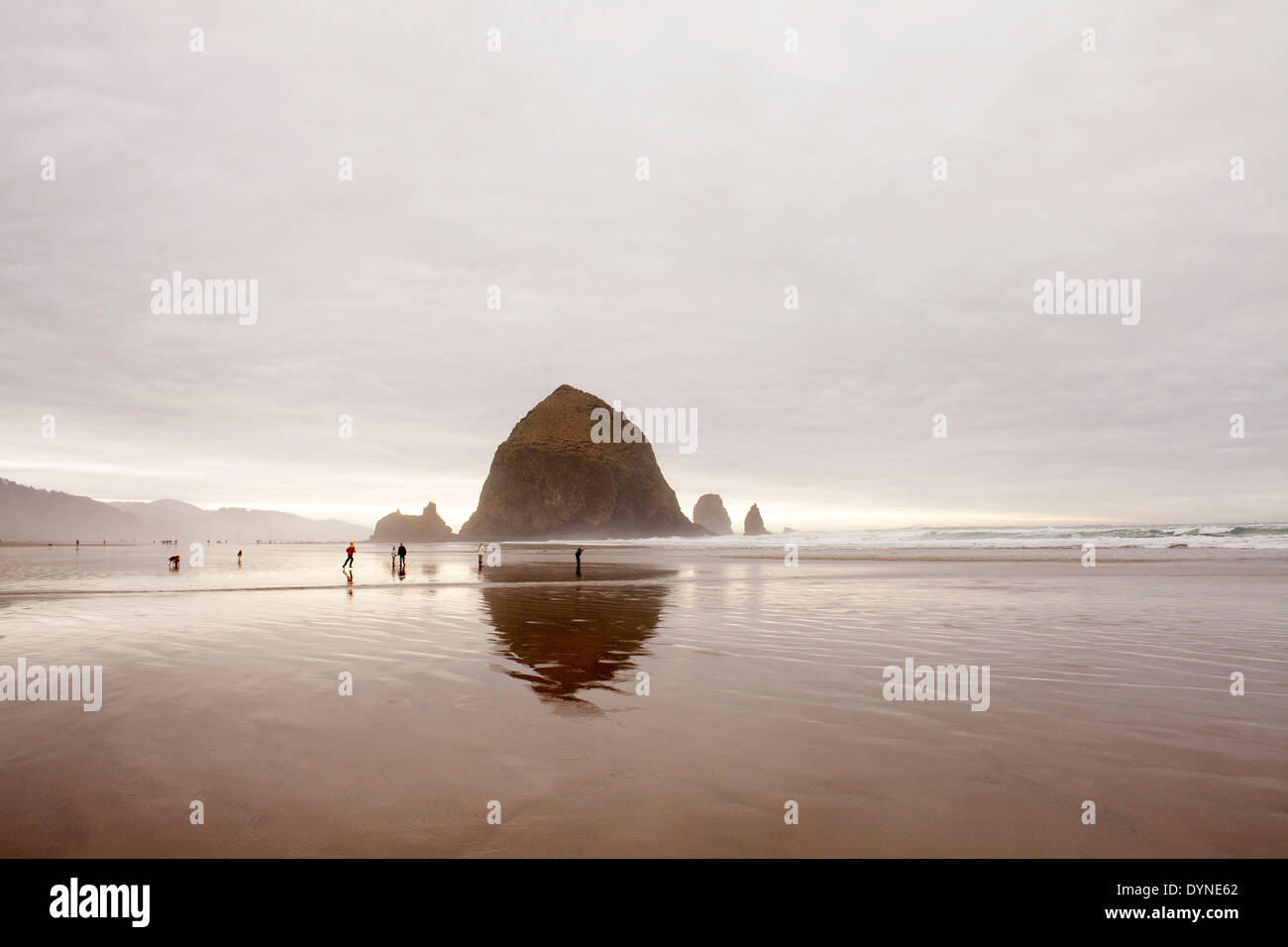 Haystack rock cannon beach person hi-res stock photography and images ...
