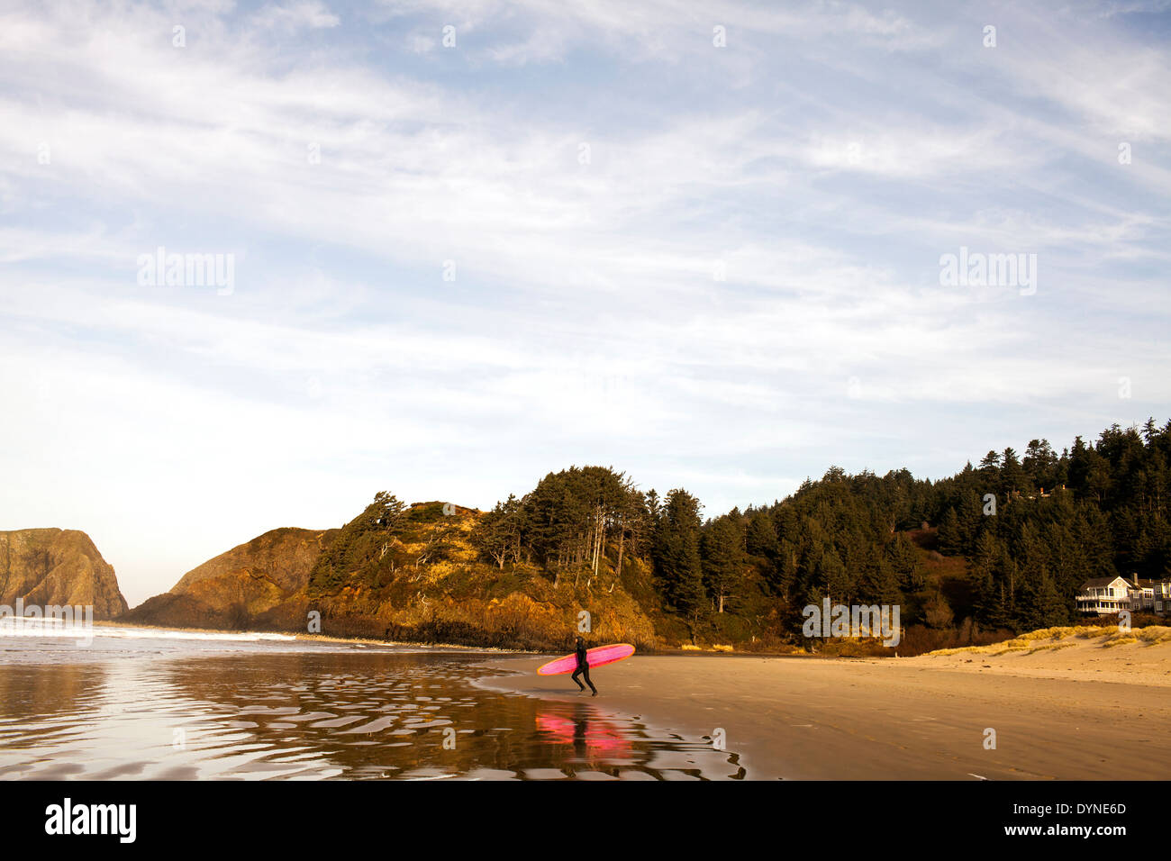 Surfer carrying board on beach Stock Photo - Alamy