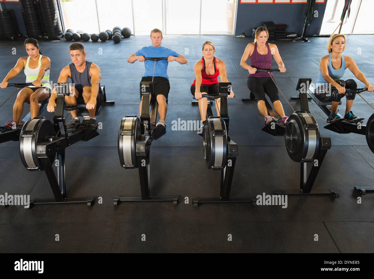 People using rowing machines in gym Stock Photo - Alamy