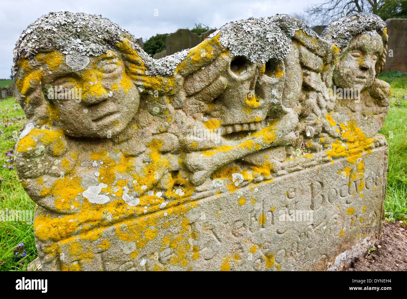 Skull on old headstone Stock Photo - Alamy