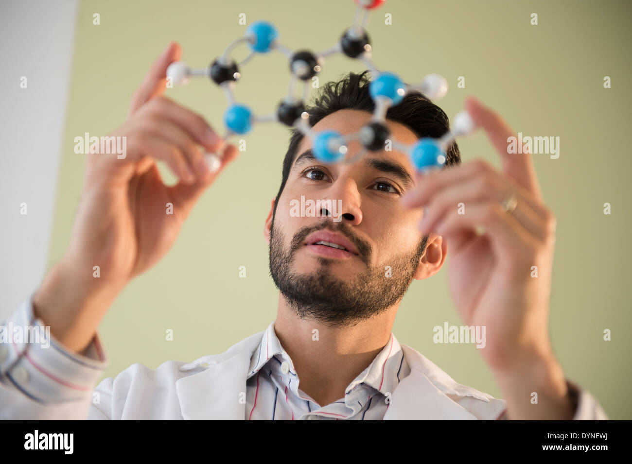 Eastern pacific on model hi-res stock photography and images - Alamy