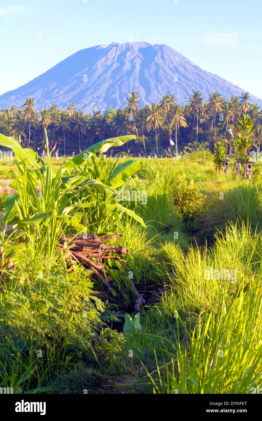 Picture of Mountain Agung.Bali Island. Indonesia Stock Photo - Alamy