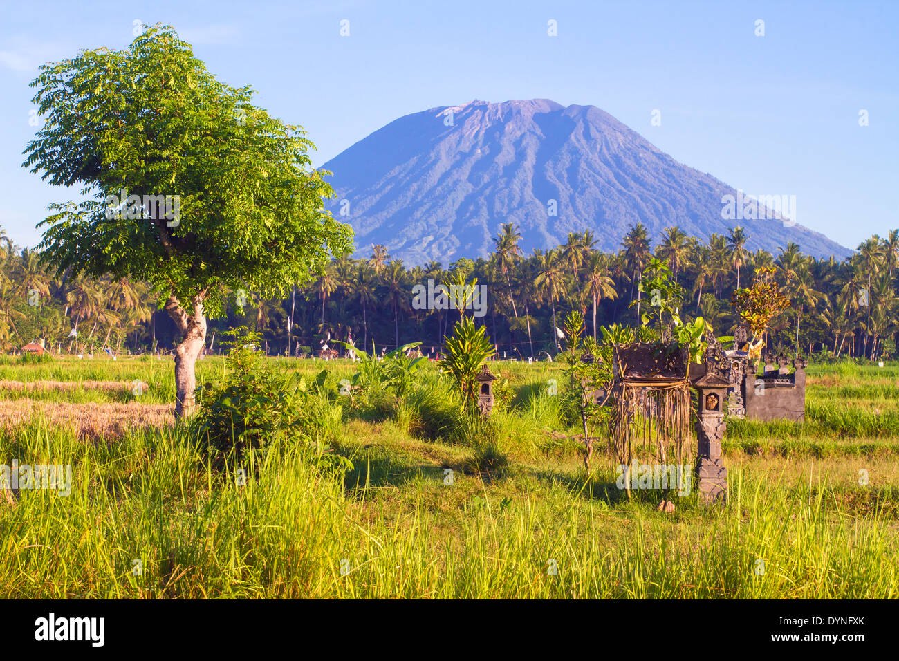 Picture of Mountain Agung.Bali Island. Indonesia Stock Photo - Alamy
