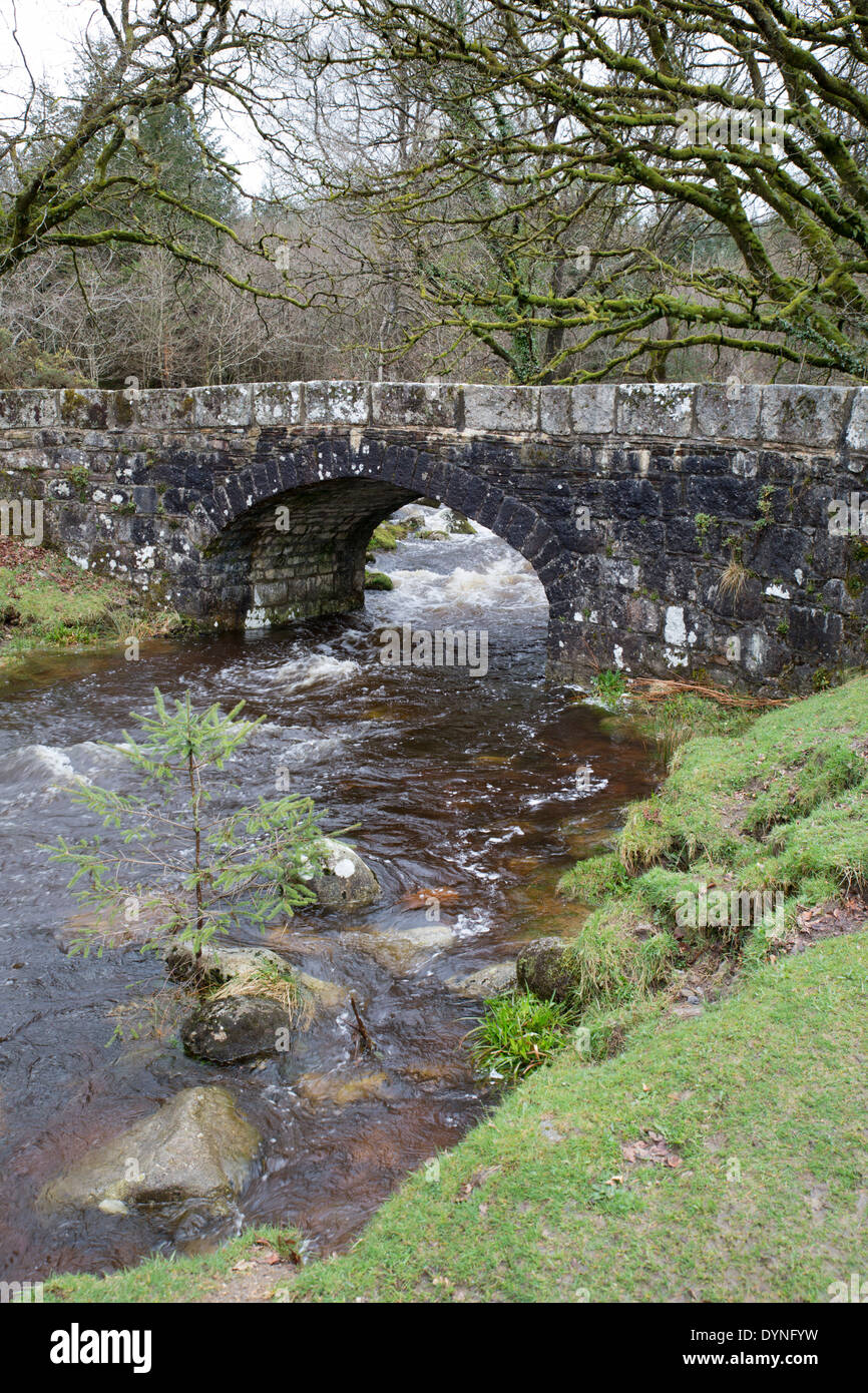 Burrator Reservoir; River; Meavy; Dartmoor; Devon; UK Stock Photo - Alamy