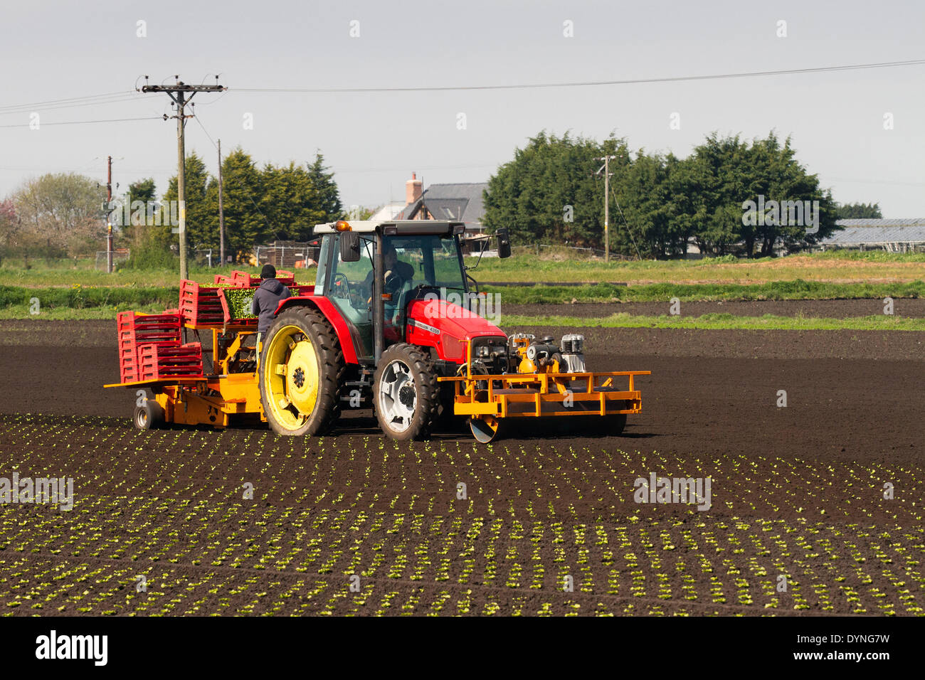 Row cropping hi-res stock photography and images - Alamy