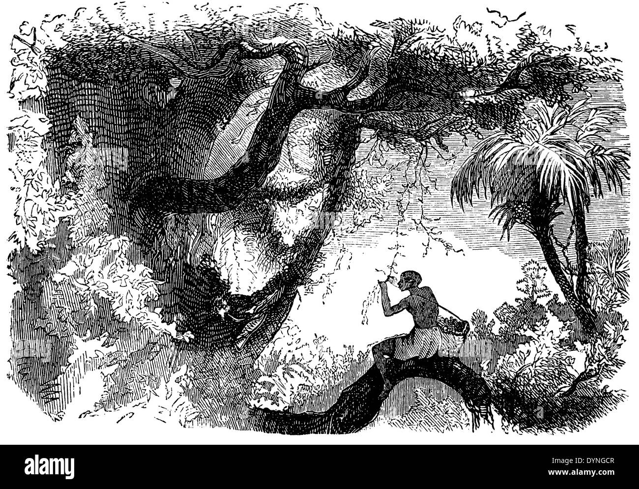 Family harvesting Black and White Stock Photos & Images - Alamy