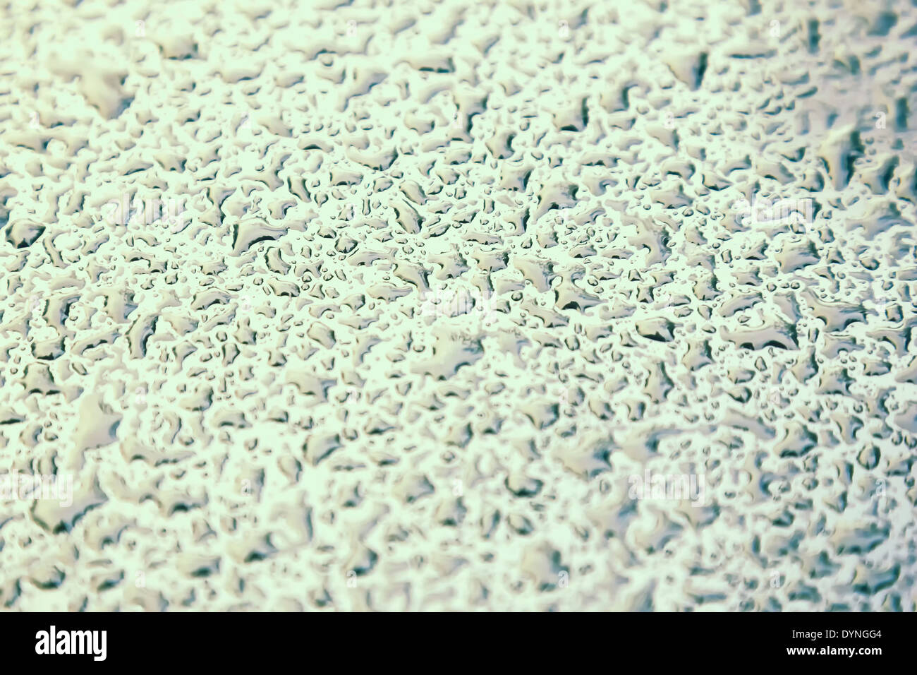 Wet backdrop hi-res stock photography and images - Alamy