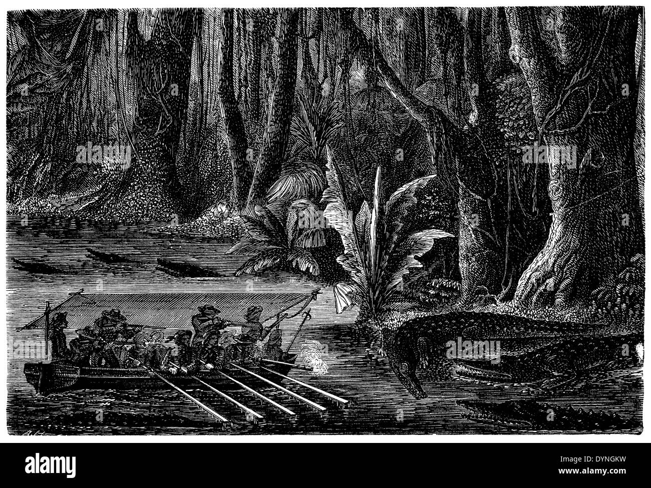 hunting of the alligator or caiman Stock Photo - Alamy