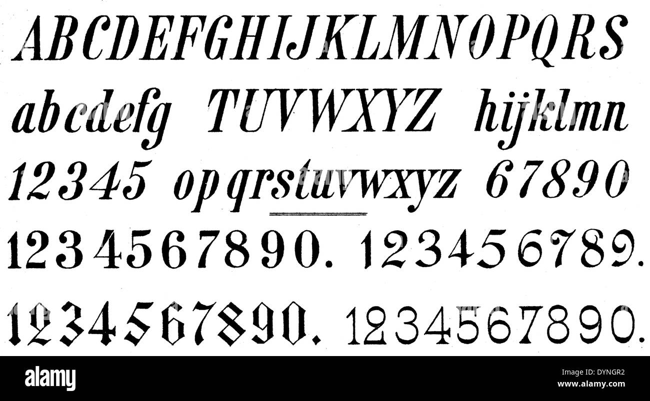 Times New Roman Italic Font