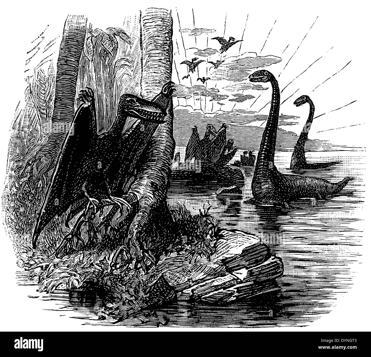 Landscape title page hi-res stock photography and images - Alamy