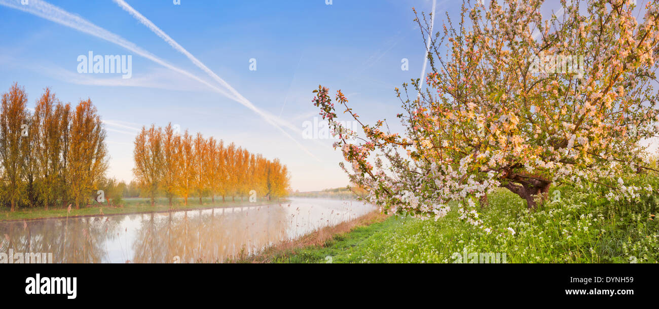 Apple trees river hi-res stock photography and images - Alamy