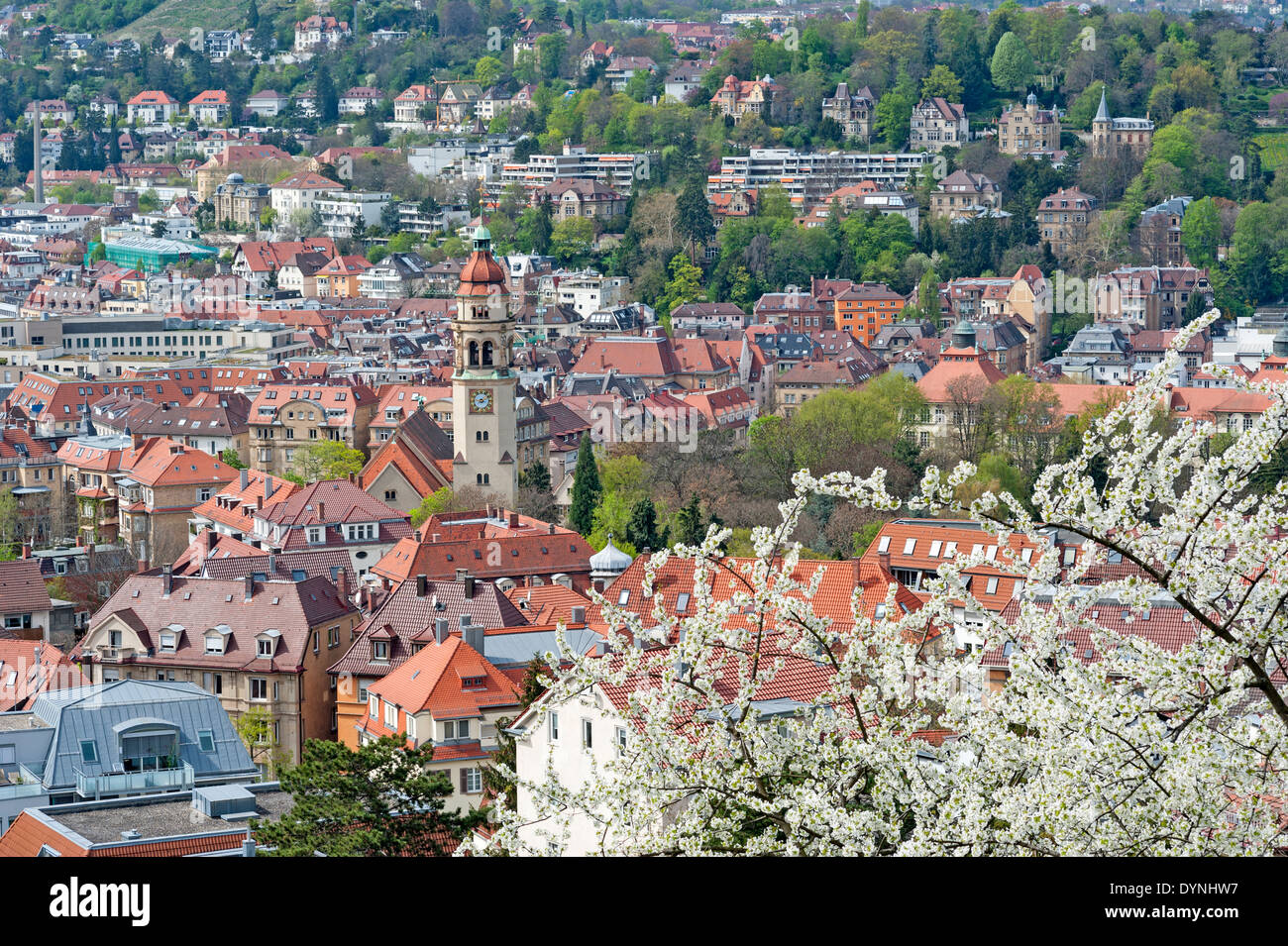 Marcus spring hi-res stock photography and images - Alamy