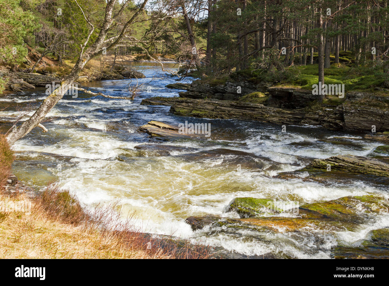 River Dee Aberdeenshire Stock Photos & River Dee Aberdeenshire Stock ...