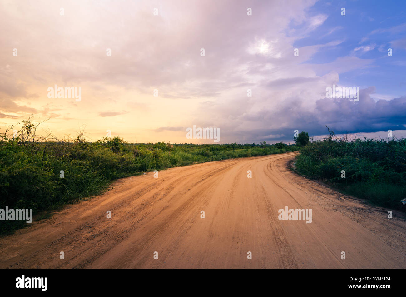 Soil road and grass meadow in countryside view nature Stock Photo - Alamy