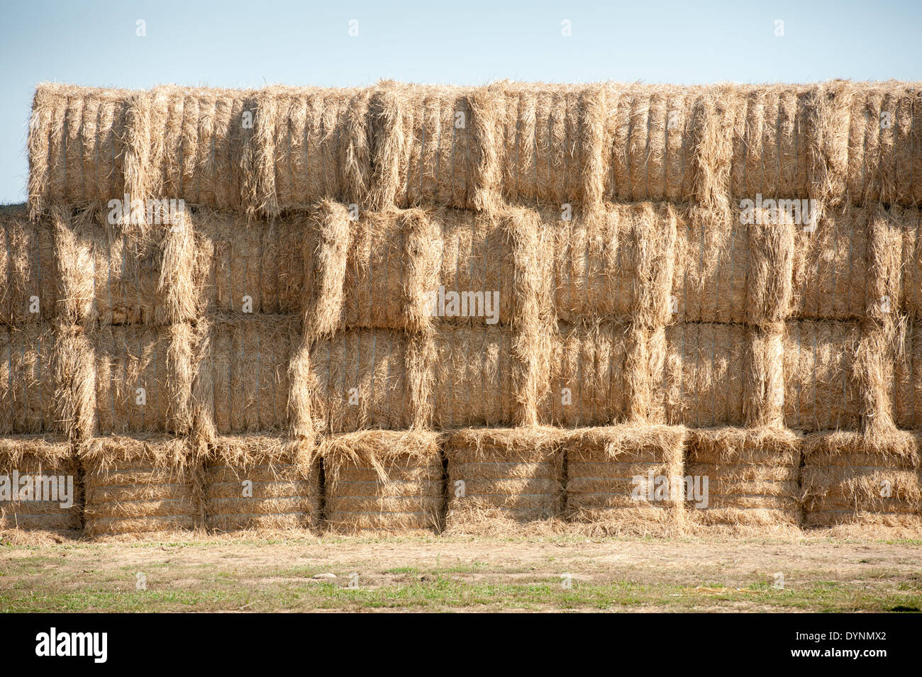 Bales hay hi-res stock photography and images - Alamy