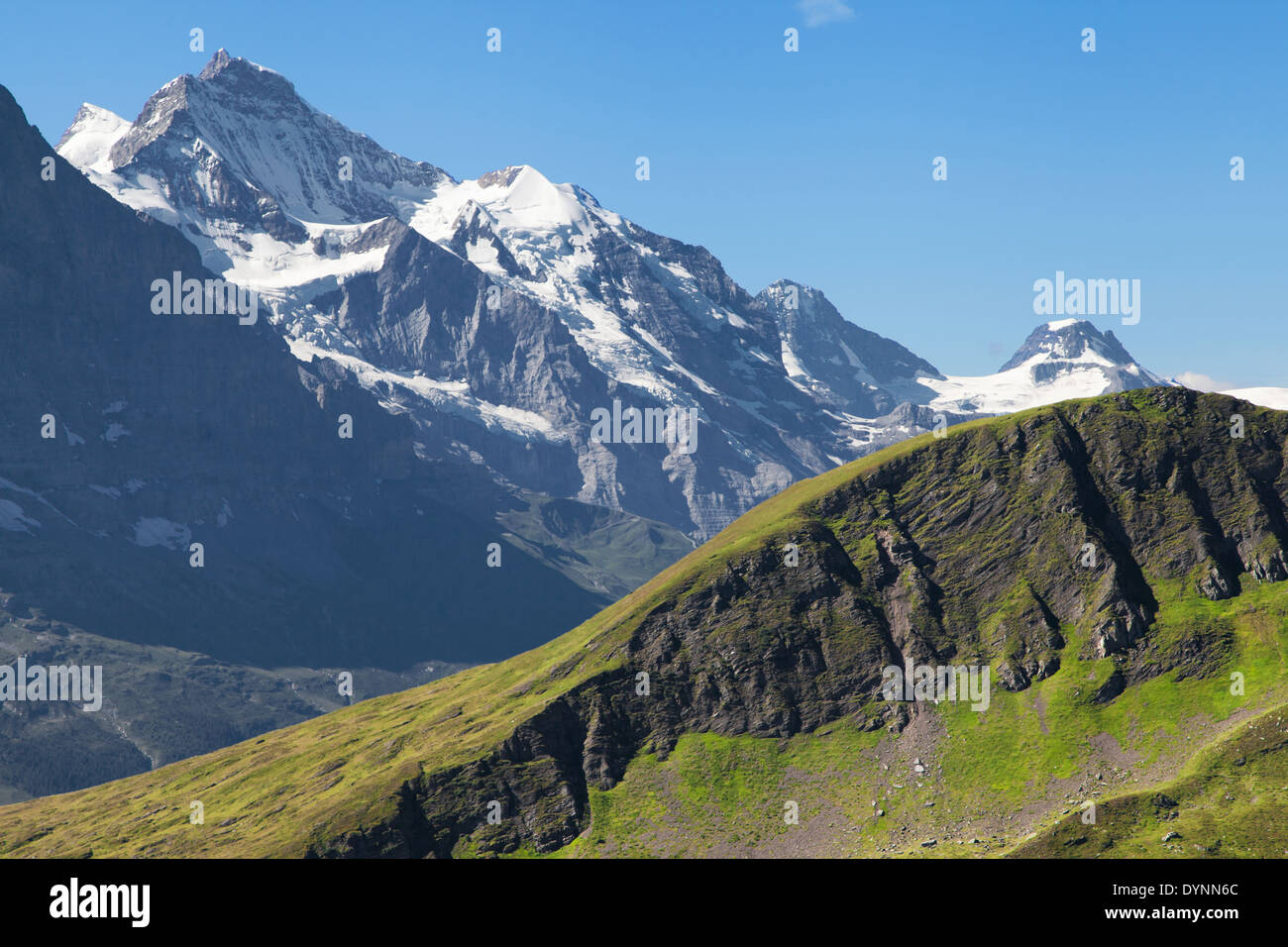 Mount Jungfrau from Grindelwald First, Switzerland Stock Photo - Alamy