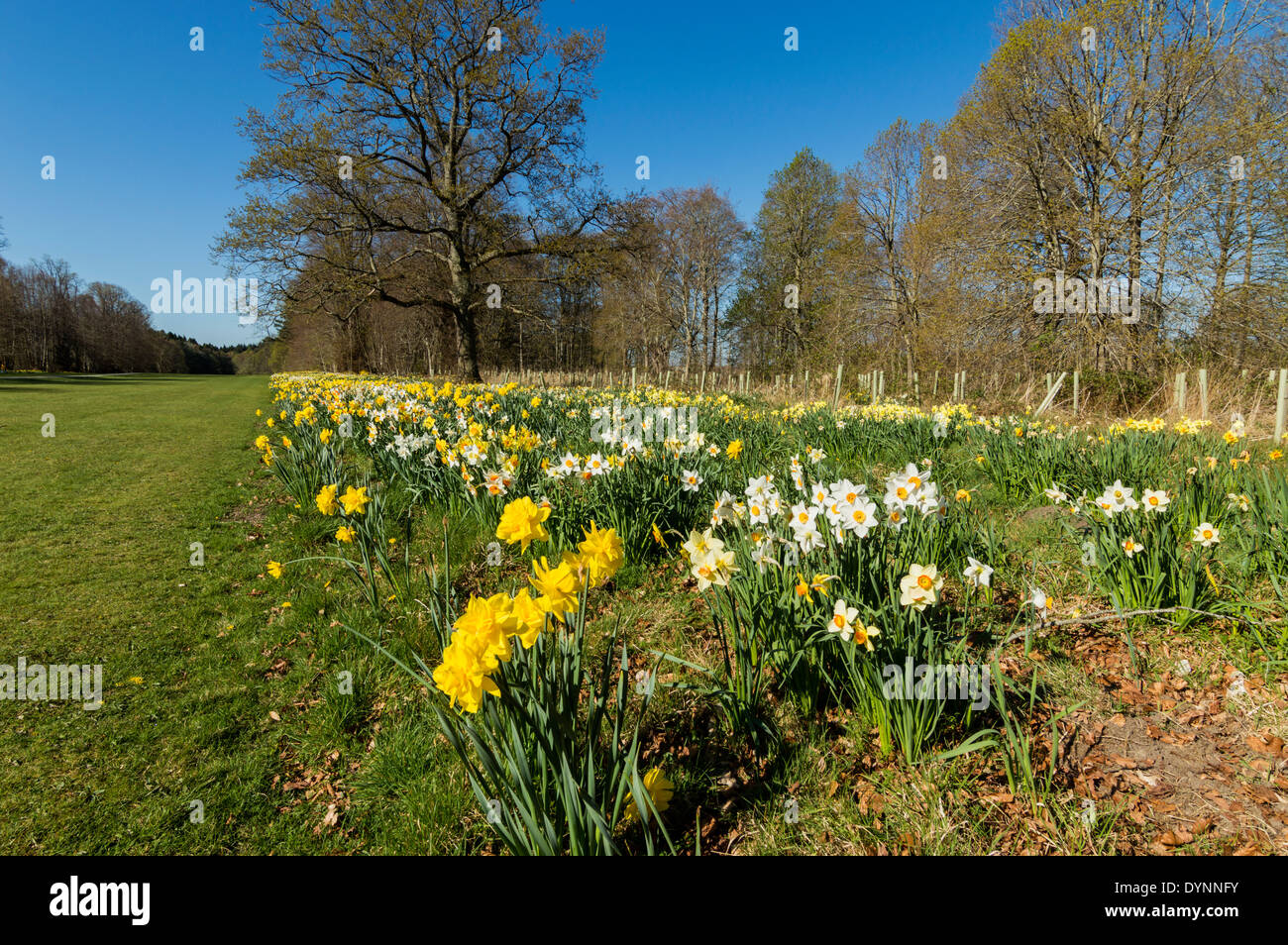 Brodie castle hi-res stock photography and images - Alamy