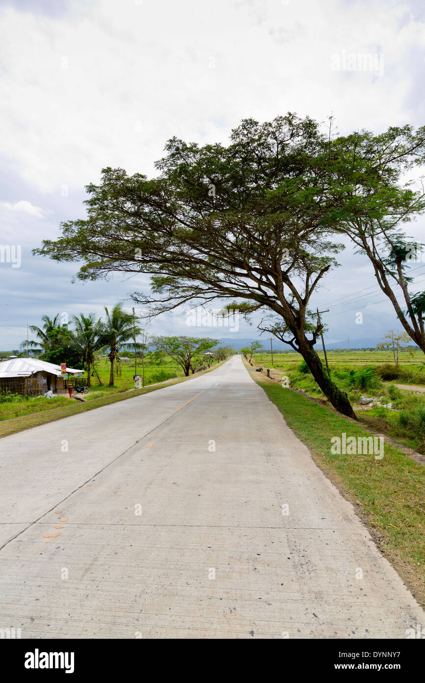 Rural Country Road in Puerto Princesa, Palawan, Philippines Stock Photo ...