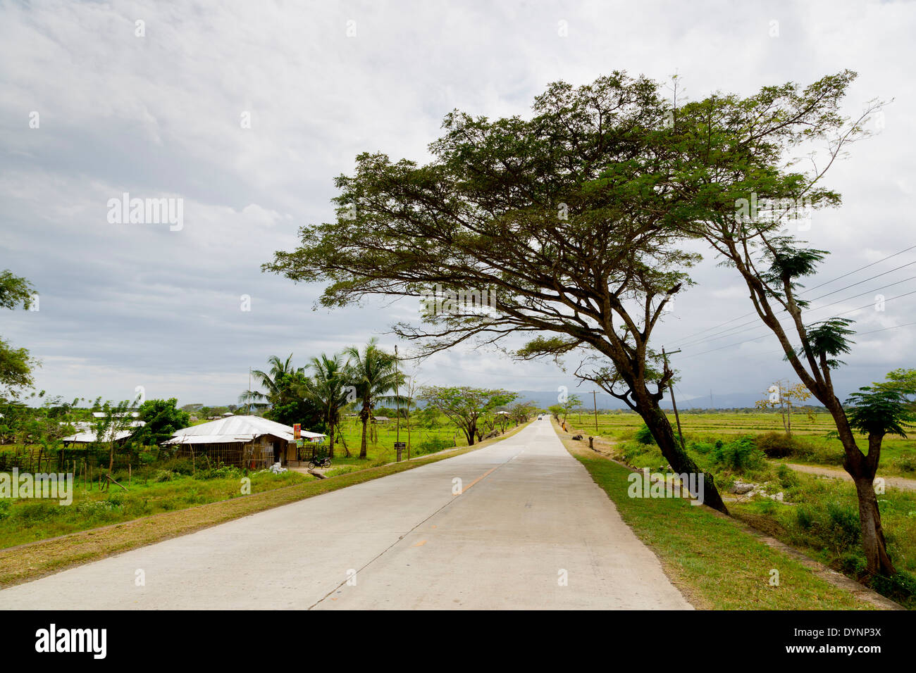 Rural Country Road in Puerto Princesa, Palawan, Philippines Stock Photo ...
