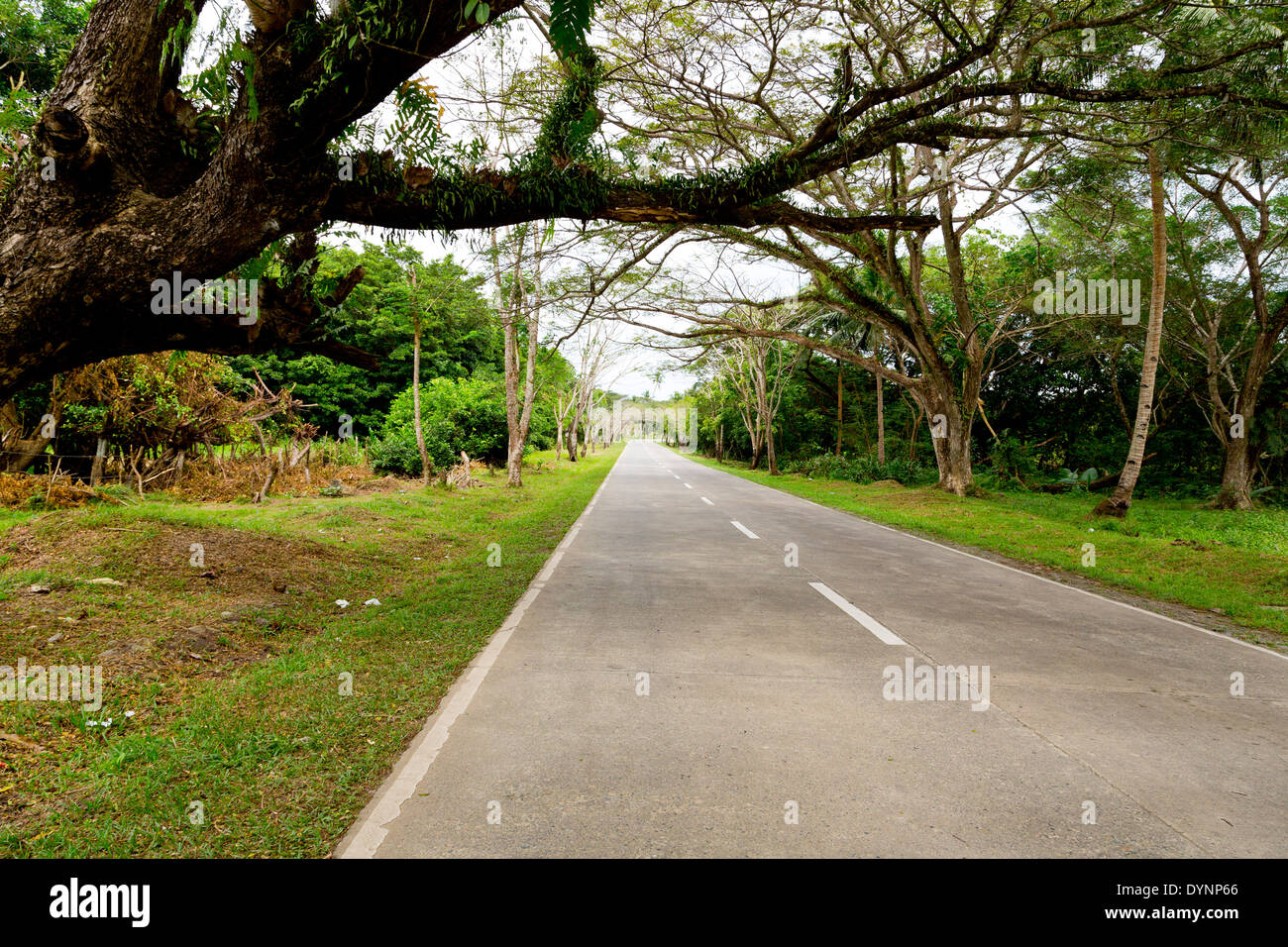 Rural Country Road in Puerto Princesa, Palawan, Philippines Stock Photo ...