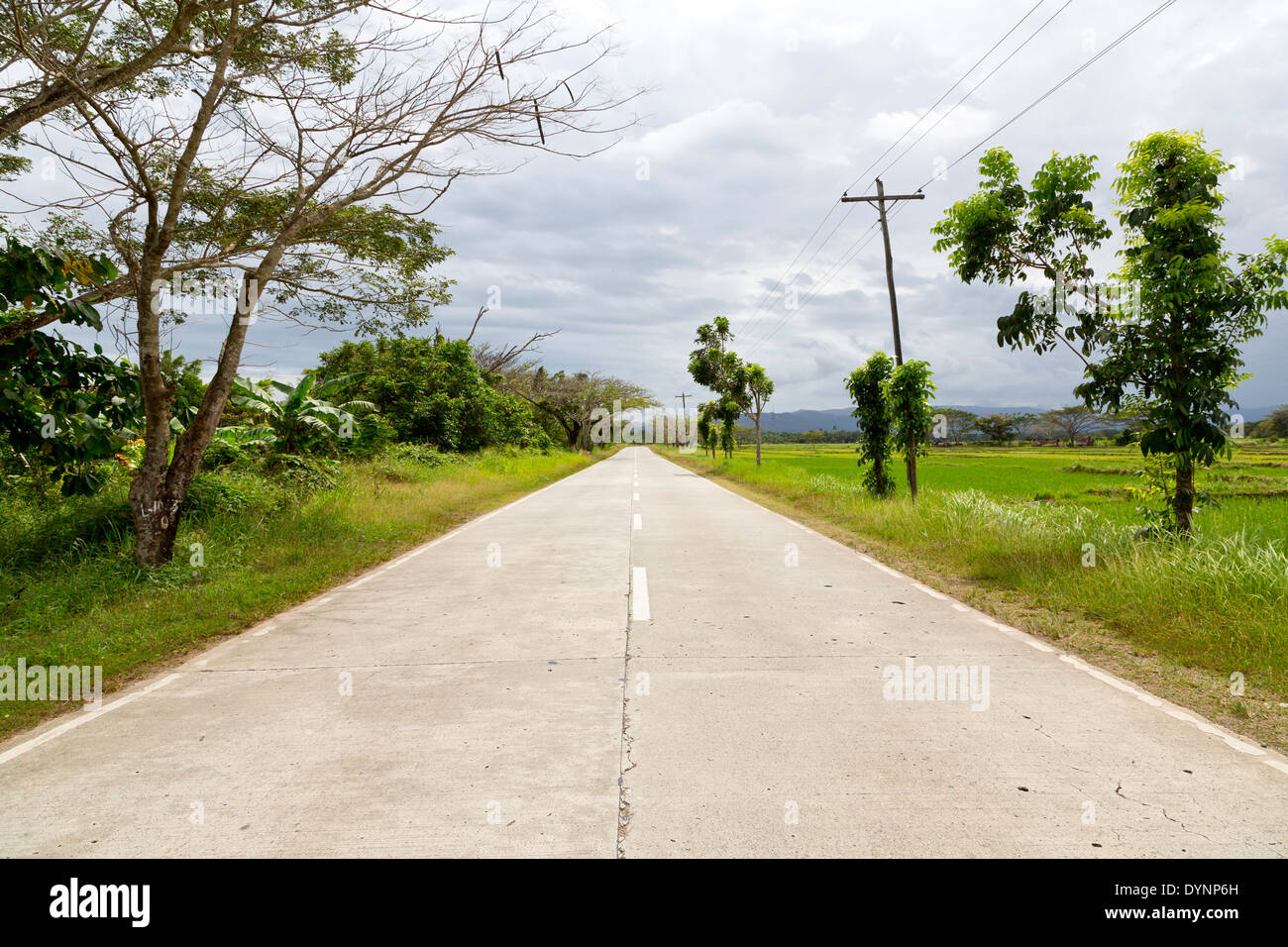 Rural Country Road in Puerto Princesa, Palawan, Philippines Stock Photo ...