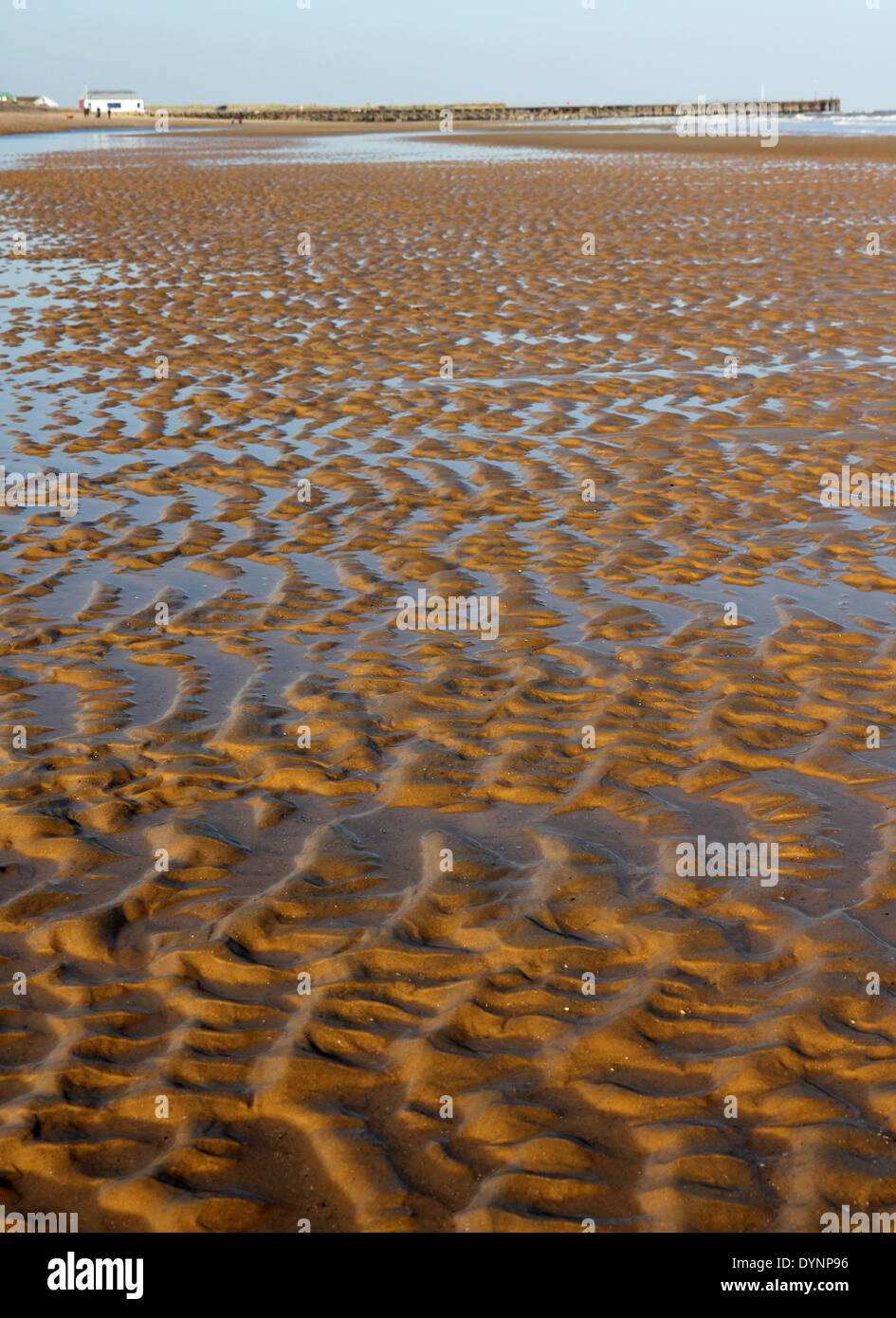 Intertidal landforms hi-res stock photography and images - Alamy