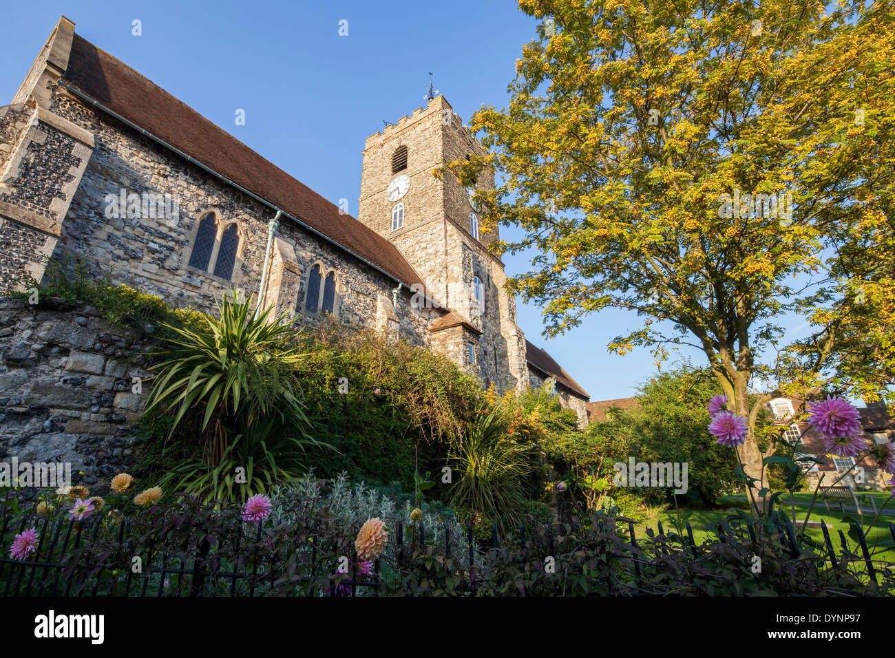 St. Peter's Church Sandwhich Kent England UK Stock Photo - Alamy