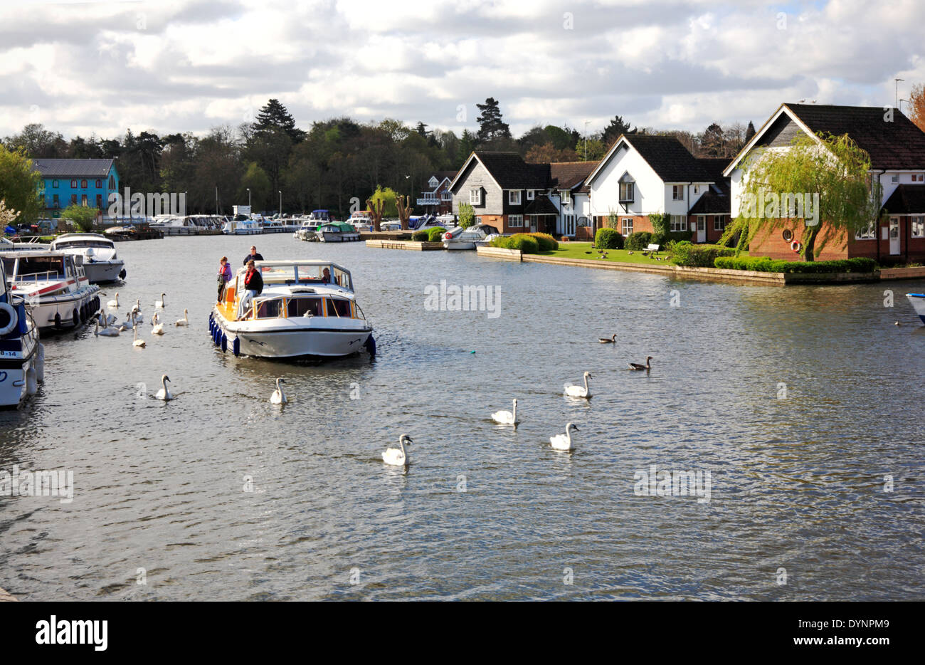 A view of a cruiser preparing to moor on the Norfolk Broads by Wroxham ...