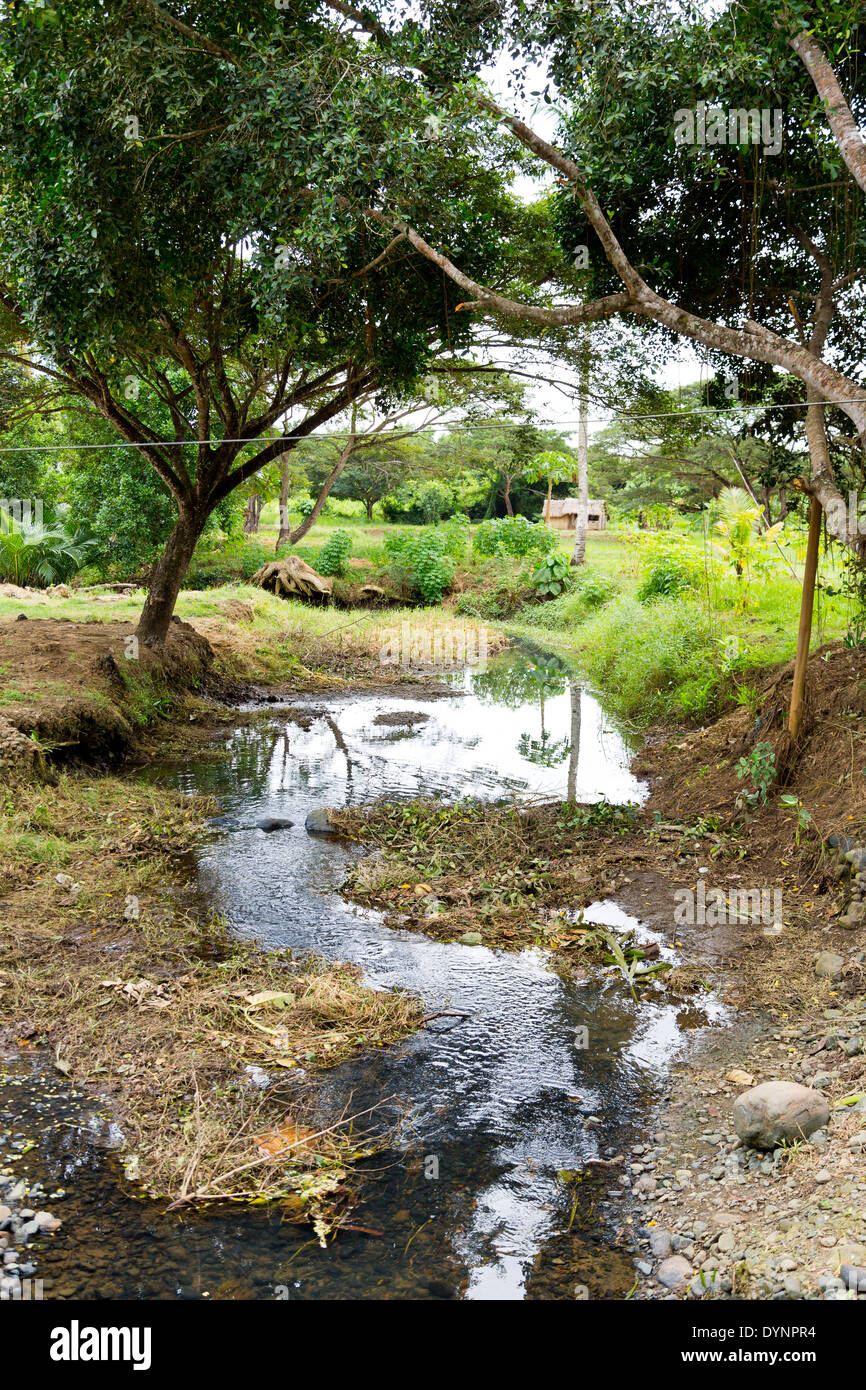 Rural Landscape in Puerto Princesa, Palawan, Philippines Stock Photo ...