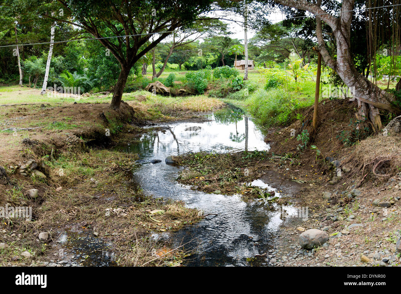 Rural Landscape in Puerto Princesa, Palawan, Philippines Stock Photo ...