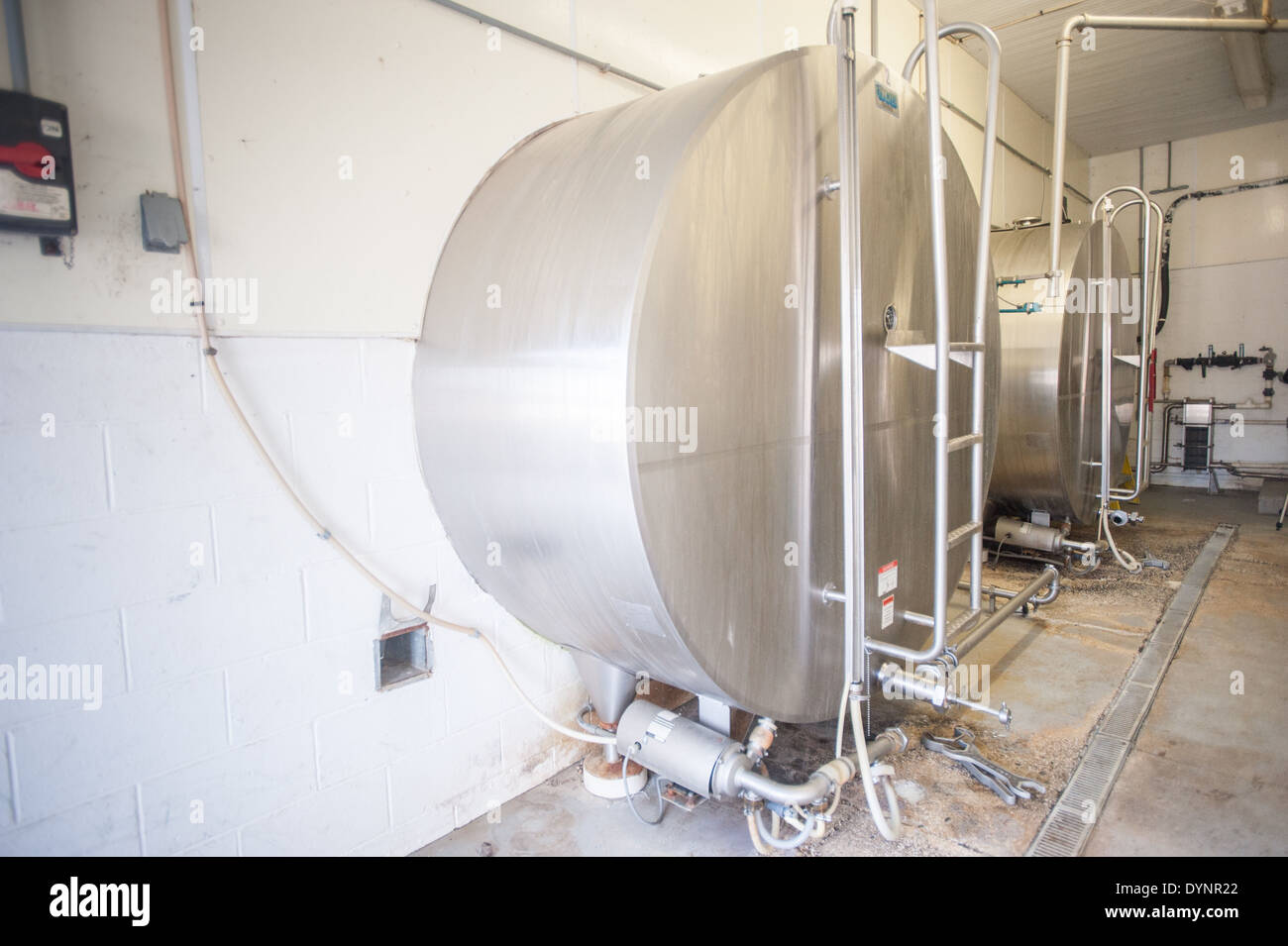 Large round tanks at dairy farm in Ridgely, Maryland Stock Photo - Alamy