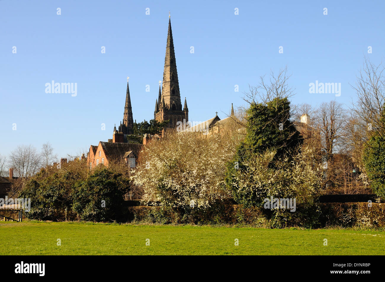 Three Spires Lichfield Cathedral High Resolution Stock Photography and ...