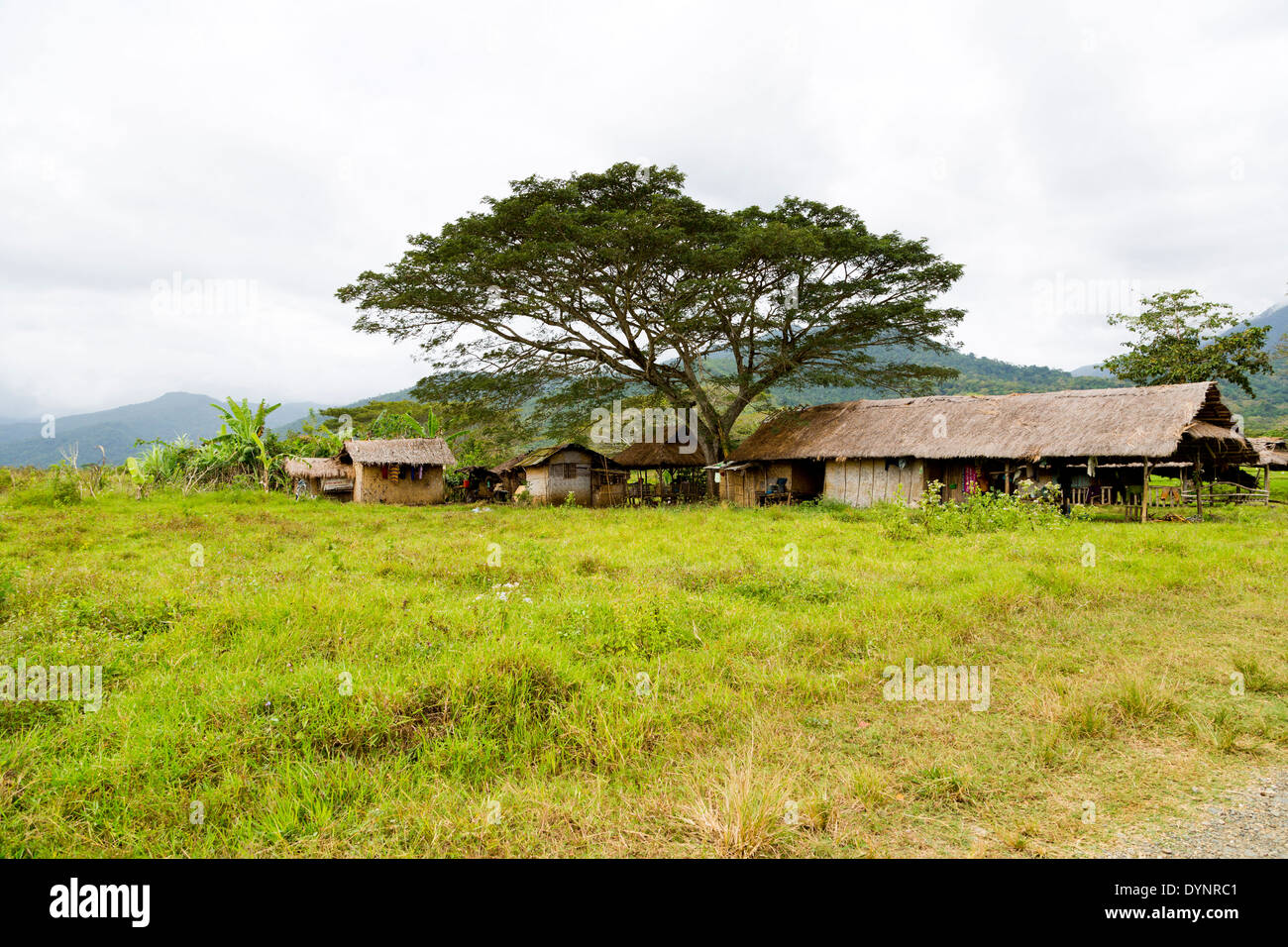 Rural Landscape in Puerto Princesa, Palawan, Philippines Stock Photo ...