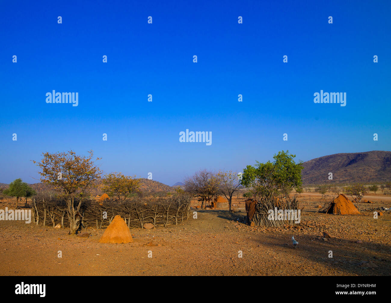 Mopane Village High Resolution Stock Photography and Images - Alamy