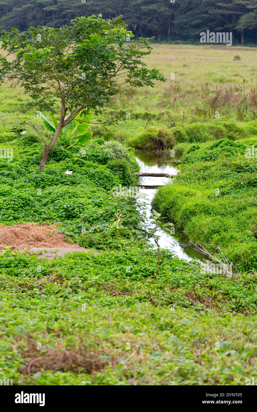 Rural Landscape in Puerto Princesa, Palawan, Philippines Stock Photo ...