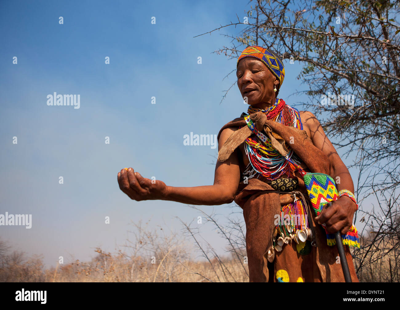 Bushman Woman, Tsumkwe, Namibia Stock Photo - Alamy