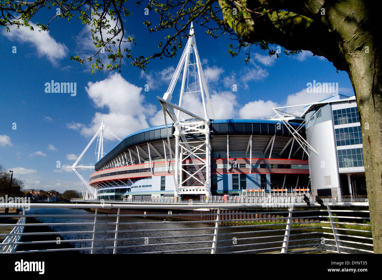 River taff embankment hi-res stock photography and images - Alamy