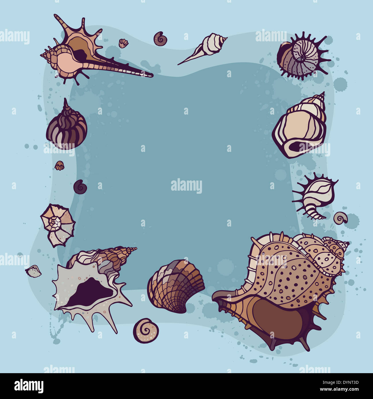 Frame of seashells. Summer background. Vector illustration Stock Photo ...