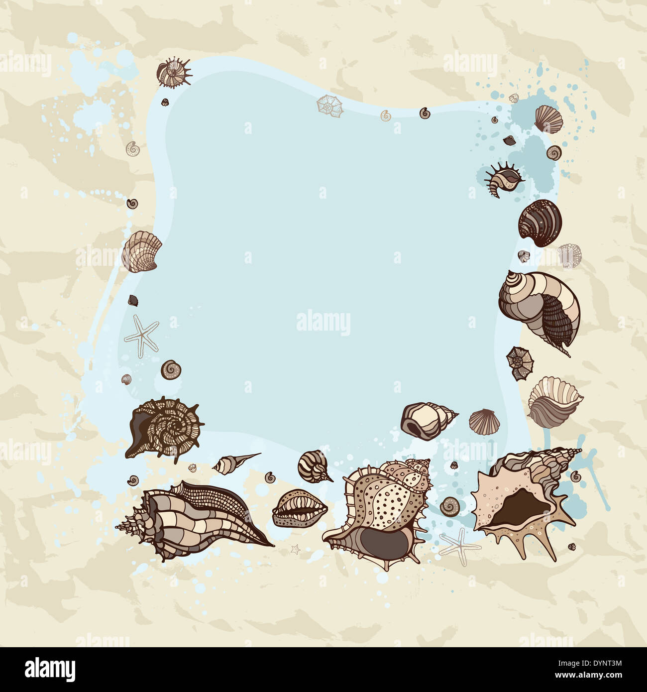 Frame of seashells. Summer background. Vector illustration Stock Photo ...