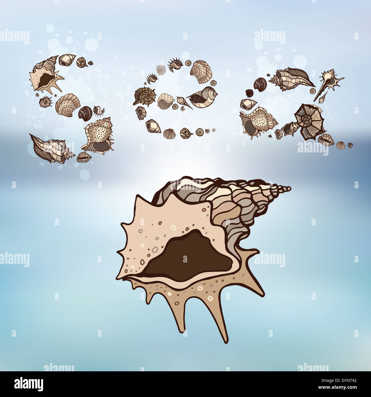 Sea inscription. Text formed of Sea shells. Vector background Stock ...