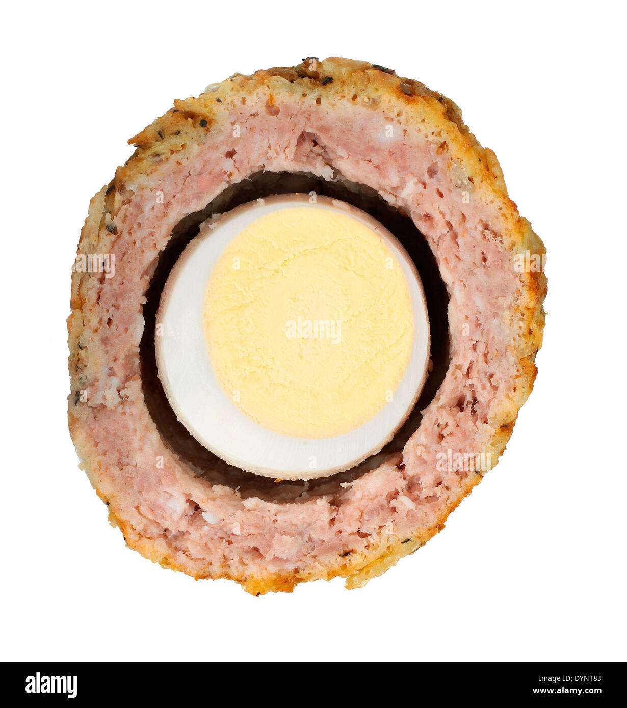 Egg layers Cut Out Stock Images & Pictures - Alamy