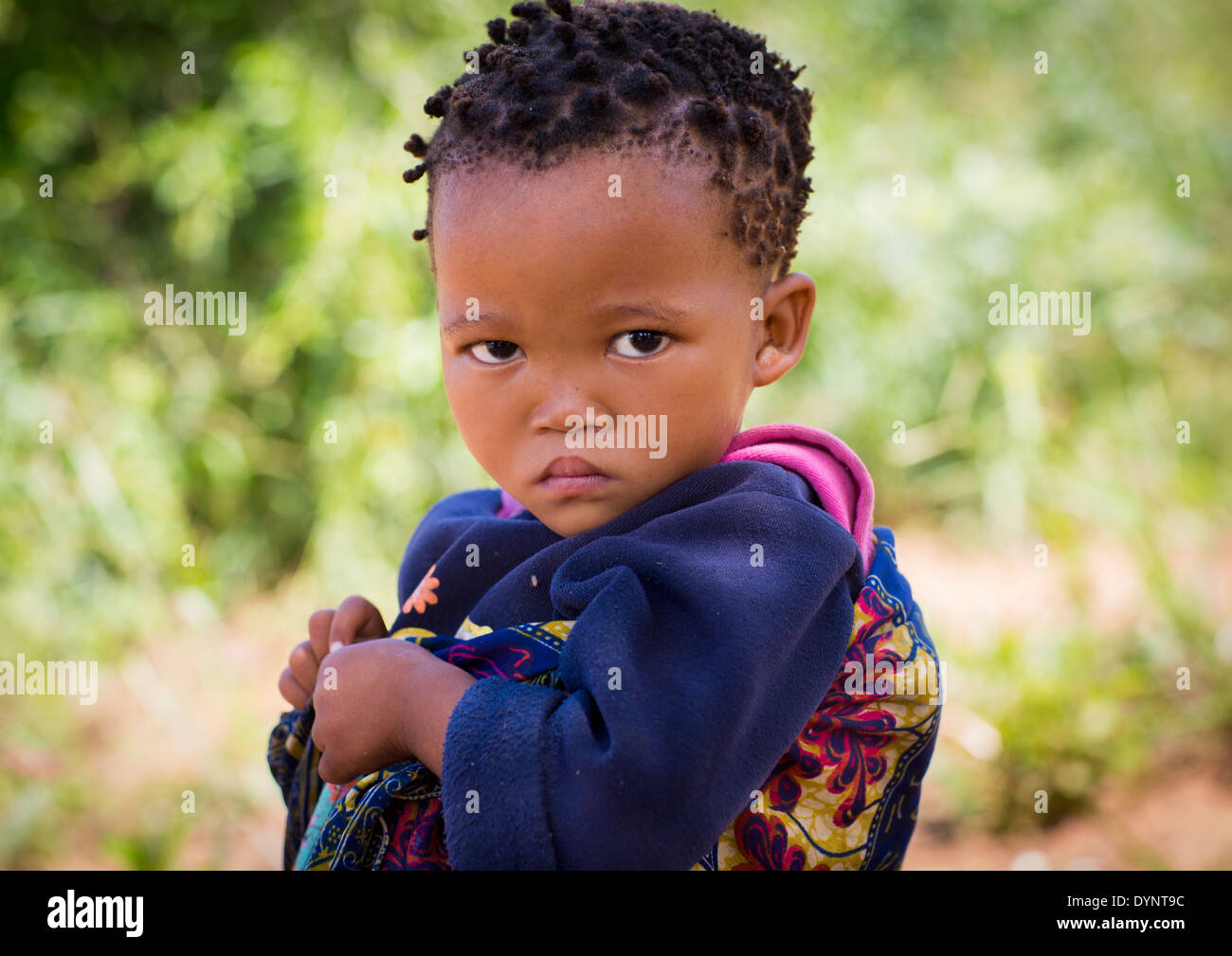 Bushman girl hi-res stock photography and images - Alamy