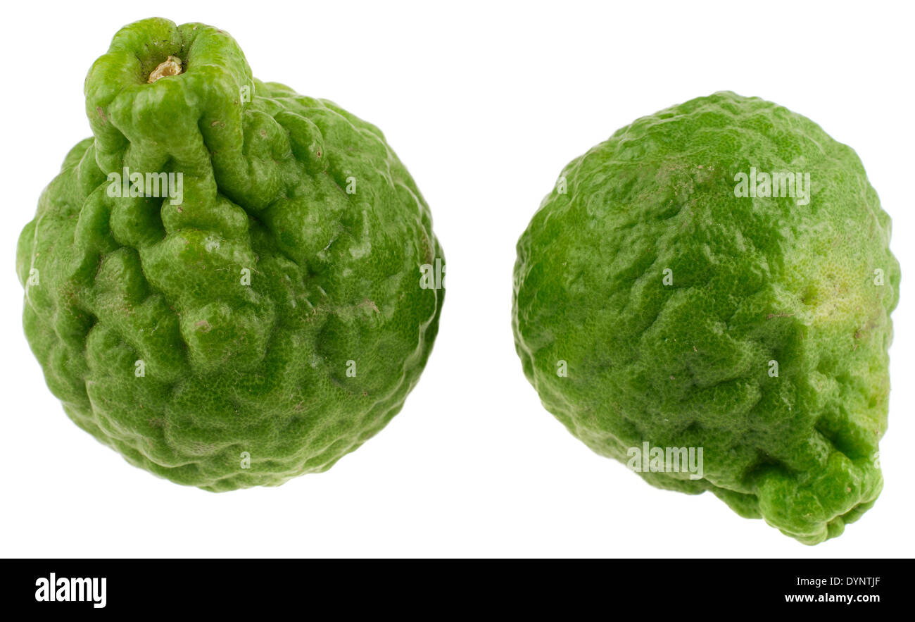 TWO WRINKLY LIMES ON A WHITE BACKGROUND Stock Photo - Alamy