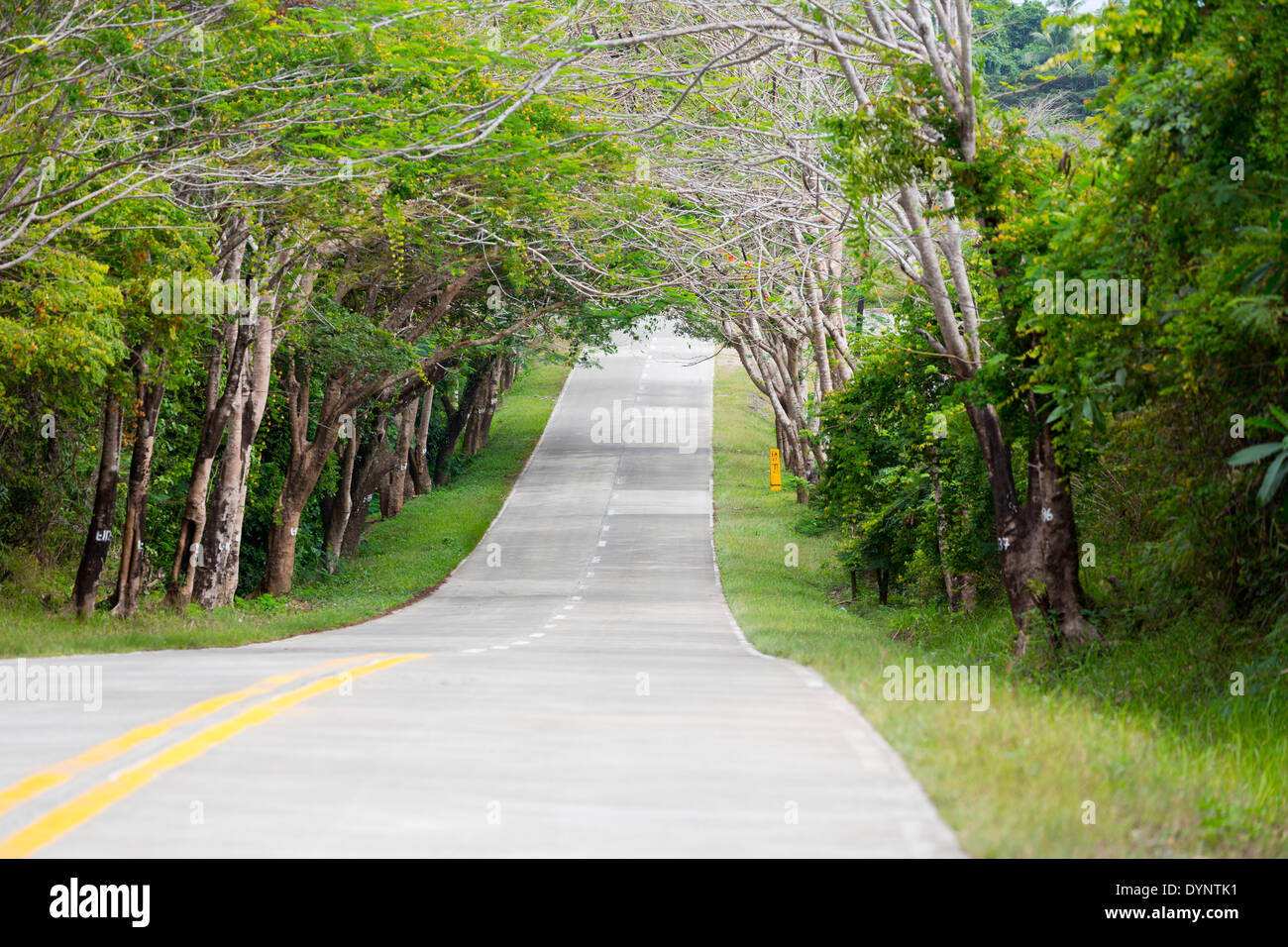 Rural Country Road in Puerto Princesa, Palawan, Philippines Stock Photo ...