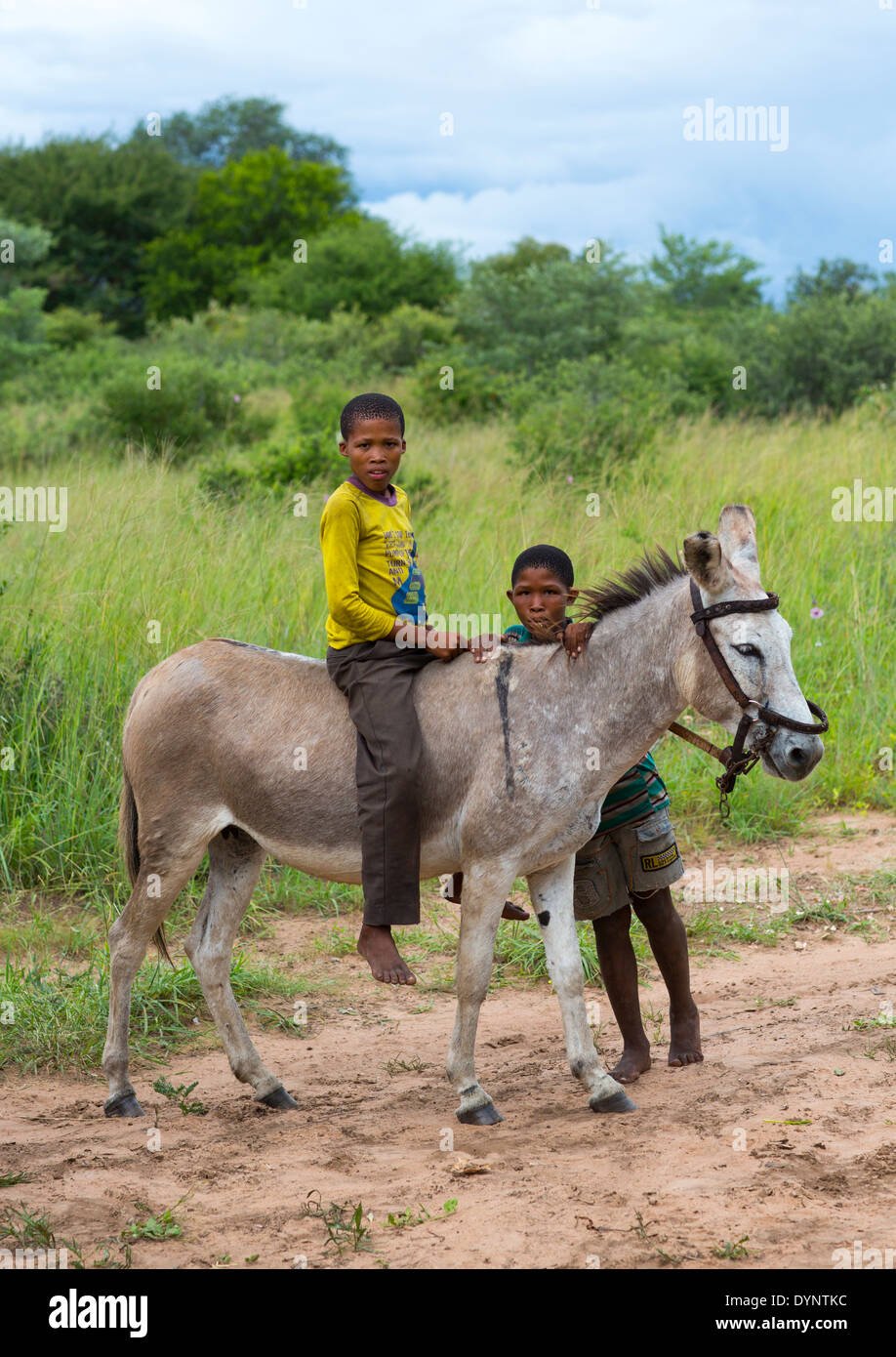 Bushman Children With A Donkey, Tsumkwe, Namibia Stock Photo - Alamy