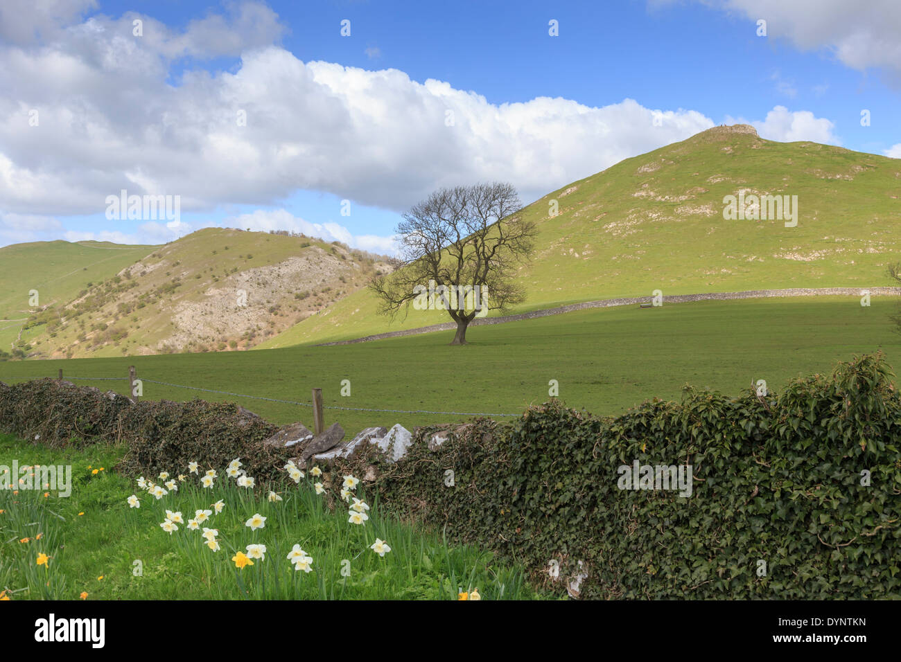 thorpe cloud dovedale derbyshire peak district england uk Stock Photo ...